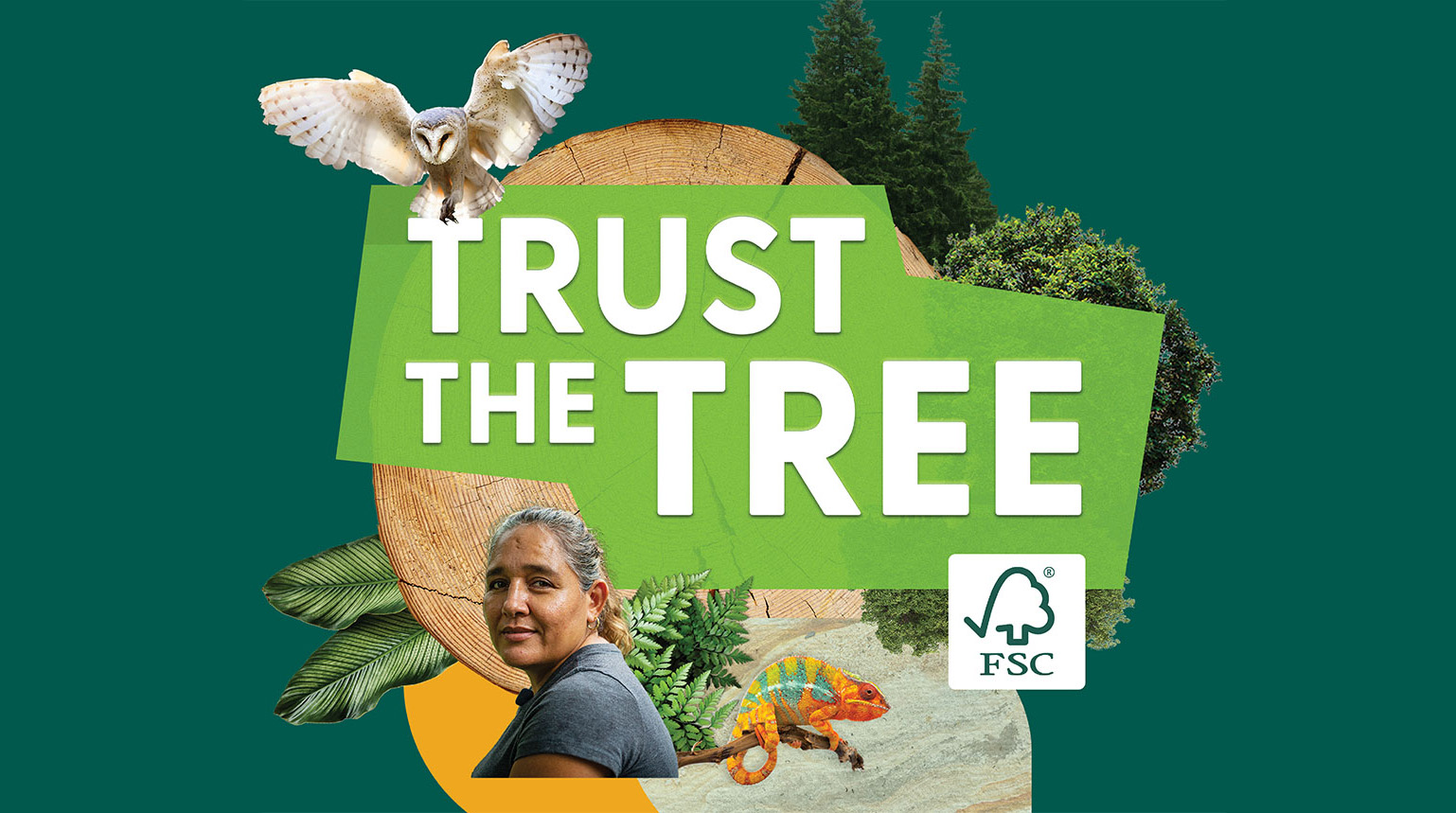 FSC Forest Week | We. Communications